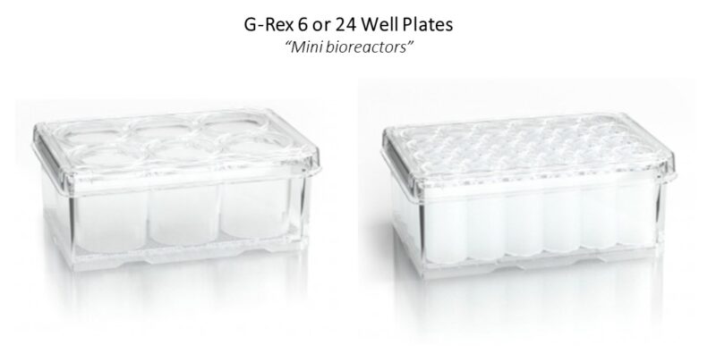 G-Rex: Production of monoclonal antibodies by hybridoma technology