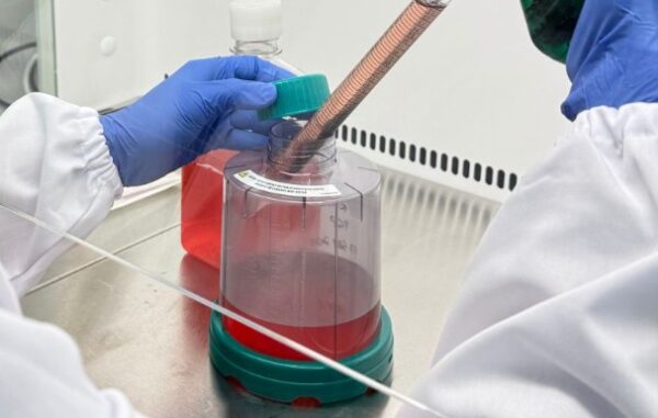 G-Rex 6M cell culture plates with basal gas exchange membrane