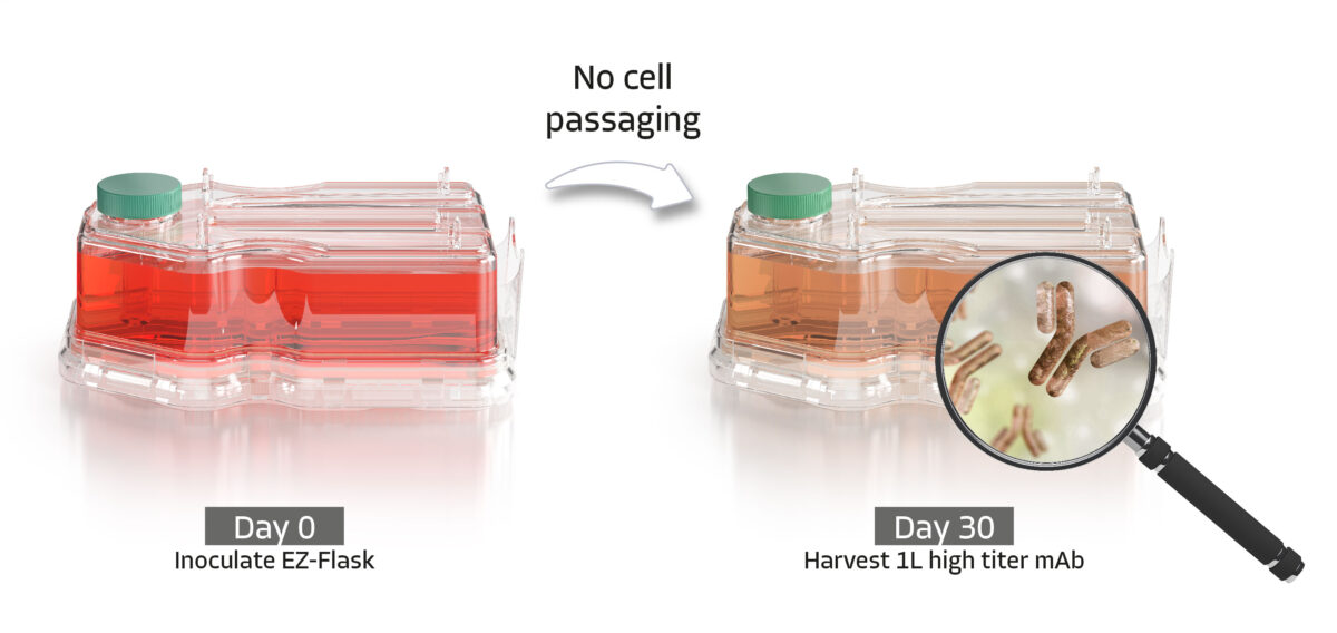Easy monoclonal antibody production - 1 Litre flask bioreactor