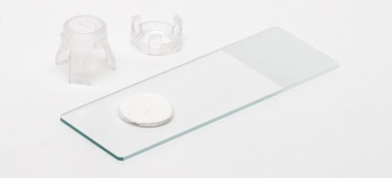 Gelacell nanofiber scaffolds for 3D cell culture - KDBIO - productivity ...