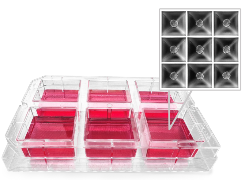 Mass production uniform spheroids Kugelmeiers Spheroid Plate - KDBIO ...