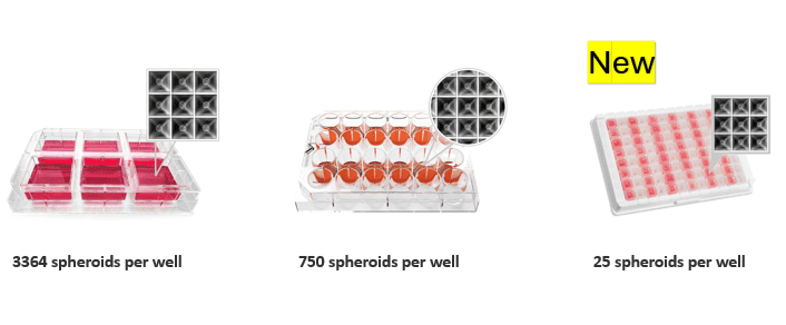 Application - CAR-T cell potency testing - KDBIO - productivity tools ...