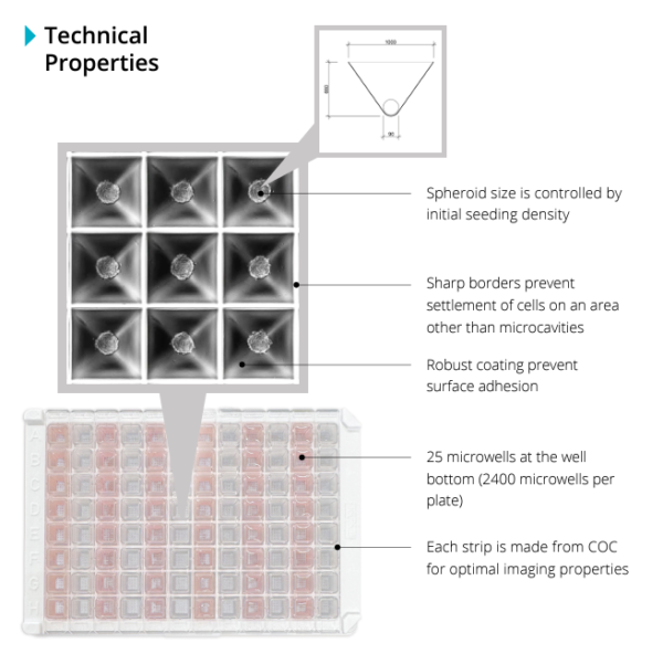 Kugelmeiers sphericalplate SP5D 96well plate grow 2400 spheroids ...
